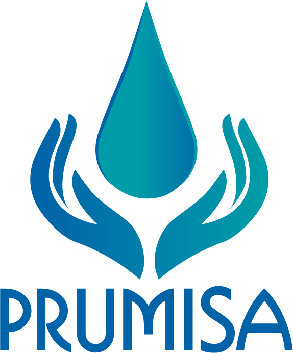 Prumisa